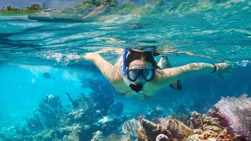 Phuket : Phi Phi Island Trip by Speedboat with Lunch - FAQ