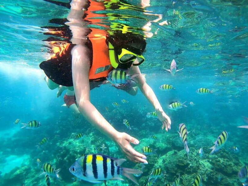 Phuket: Phi Phi Islands and Maya Bay Day Trip with Lunch - Who Is This Tour Best For?