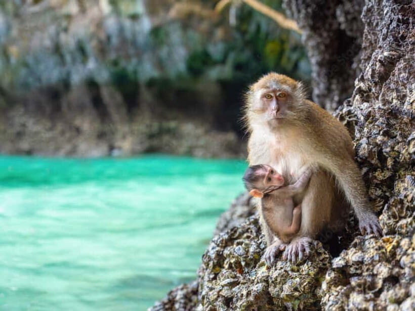 Phuket: Phi Phi Islands, Bamboo Island and Pileh Lagoon Trip - Additional Stops and Sights