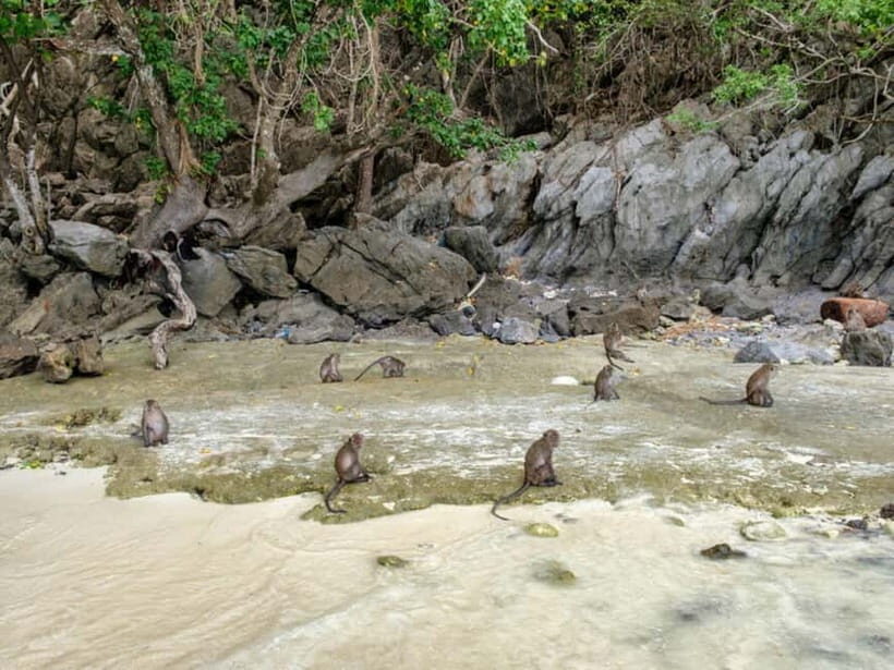 Phuket: Phi Phi Islands, Bamboo Island and Pileh Lagoon Trip - What Travelers Are Saying