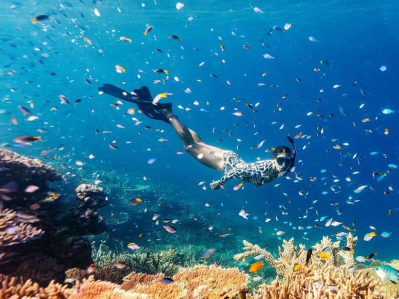 Phuket: Phi Phi, Maya and Khai Or Bamboo Island by Catamaran - What Travelers Say