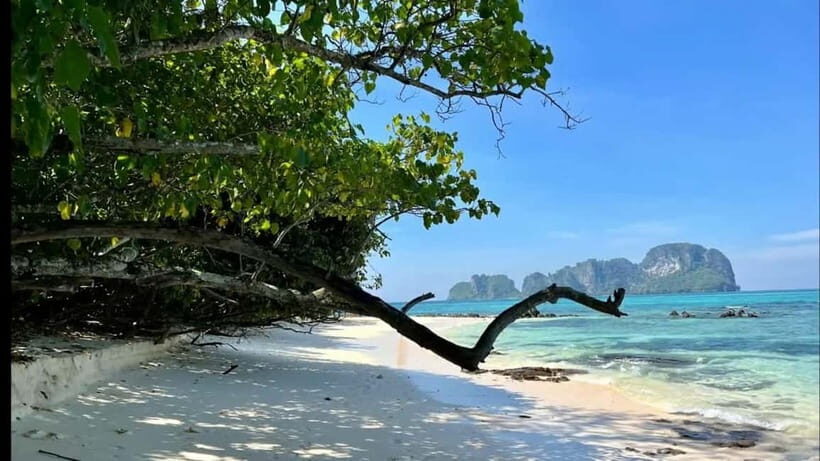 Phuket: Phi Phi, Maya, Khai or Maiton or Bamboo Island Tour - FAQs