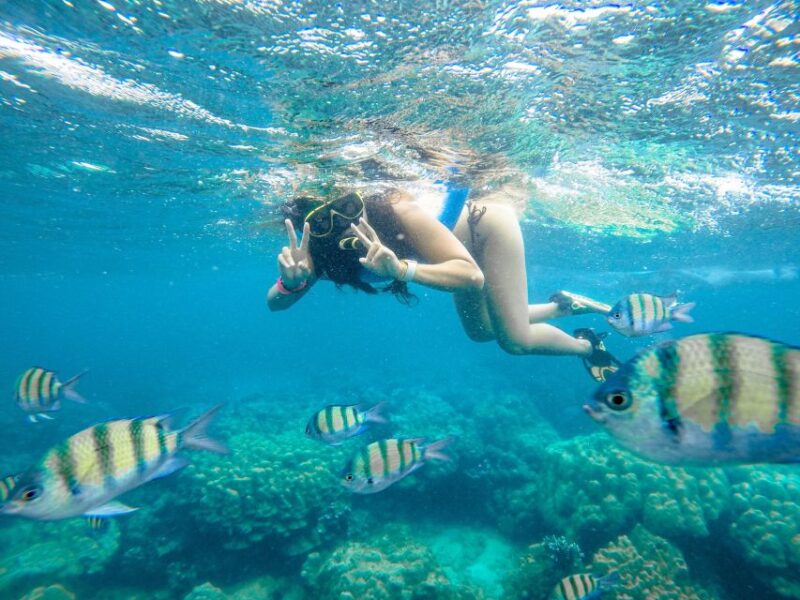 Phuket: Phi Phi Sunrise Boat Tour to Bamboo and Khai Island - Key Points