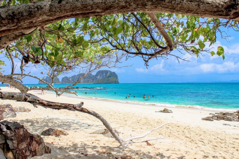 Phuket: Phi Phi Sunrise Boat Tour to Bamboo and Khai Island - Final Thoughts