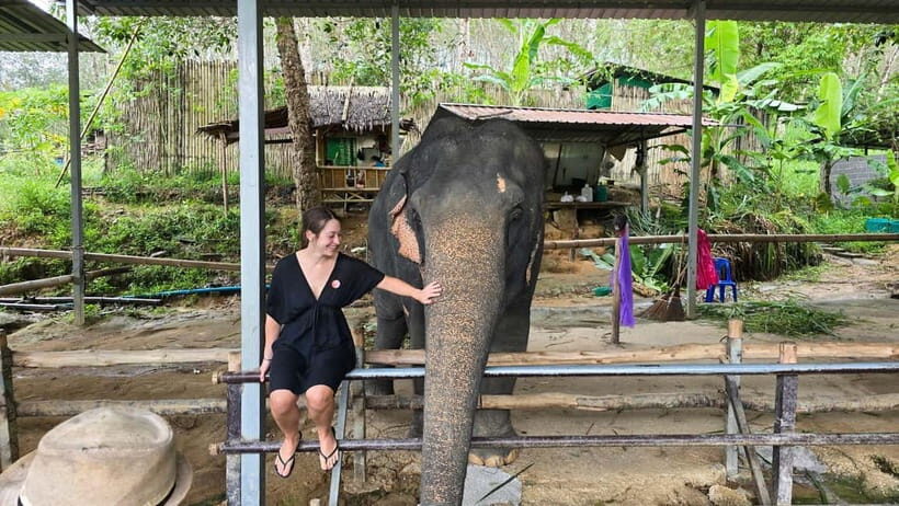 Phuket: Phuket Elephant Care Sanctuary ECO Tour - An Honest Look at the Phuket Elephant Care Sanctuary ECO Tour