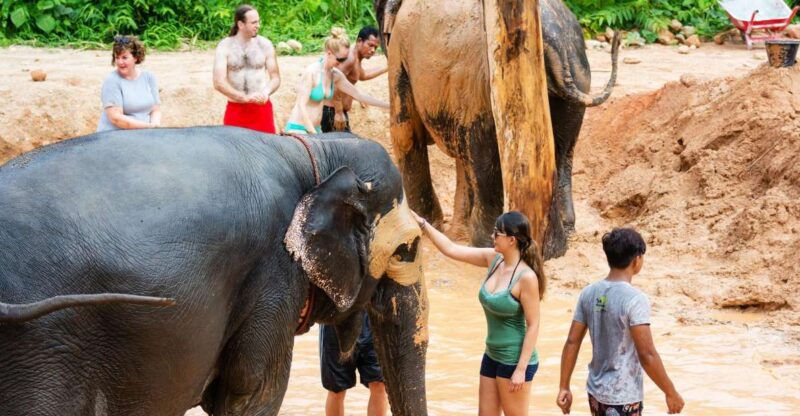 Phuket: Phuket Elephant Sanctuary, Wat Chalong & more - Key Points