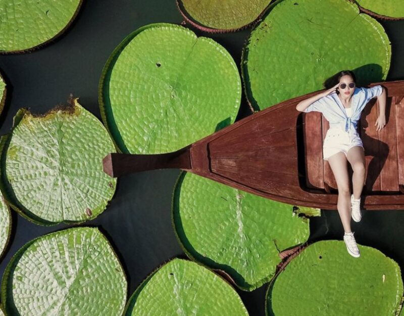 Phuket: Private & All-Inclusive Giant Water Lilies Tour - The Sum Up