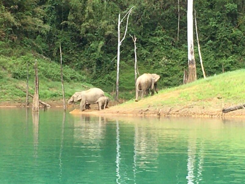 Phuket: Private Day Trip to Cheow Larn Lake - All Inclusive - FAQ