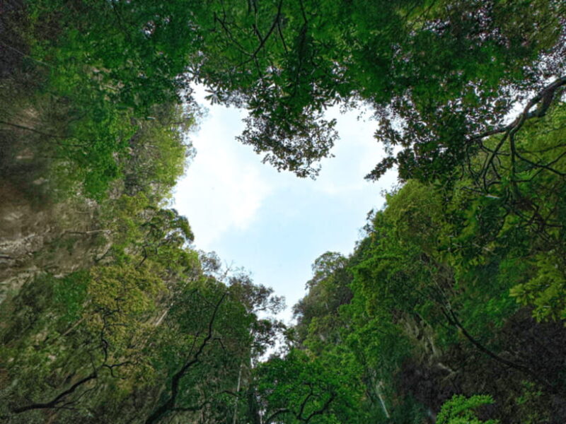 Phuket: Private Luxury Vintage Boat Trip to Phang Nga Bay - The Experience from Reviews