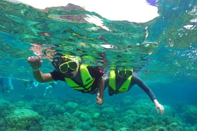 Phuket: Private Rok Island and Haa Island Speedboat Charter - Key Points