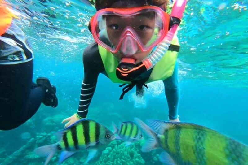 Phuket: Private Rok Island and Haa Island Speedboat Charter - Practical Considerations and Tips