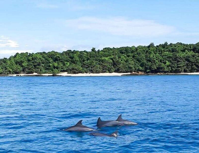 Phuket: Private Speed Boat to Maiton and Khai Islands - Key Points