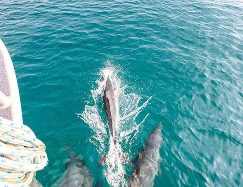 Phuket: Private Speed Boat to Maiton and Khai Islands - FAQ