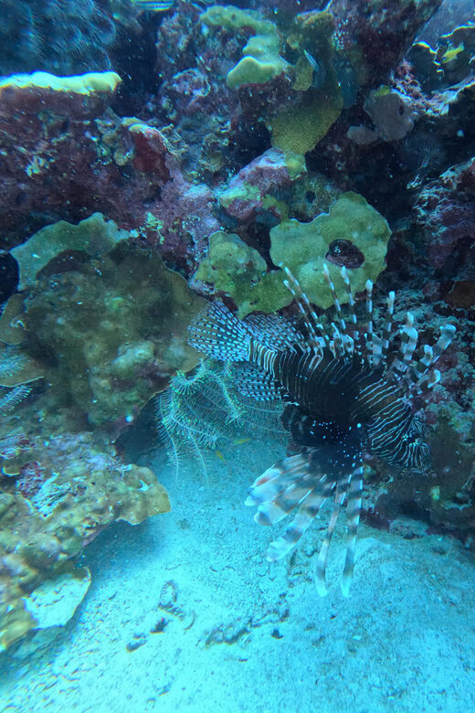 Phuket: Racha Islands 3 scuba dives boat trip PADI GoPro - The Itinerary in Detail