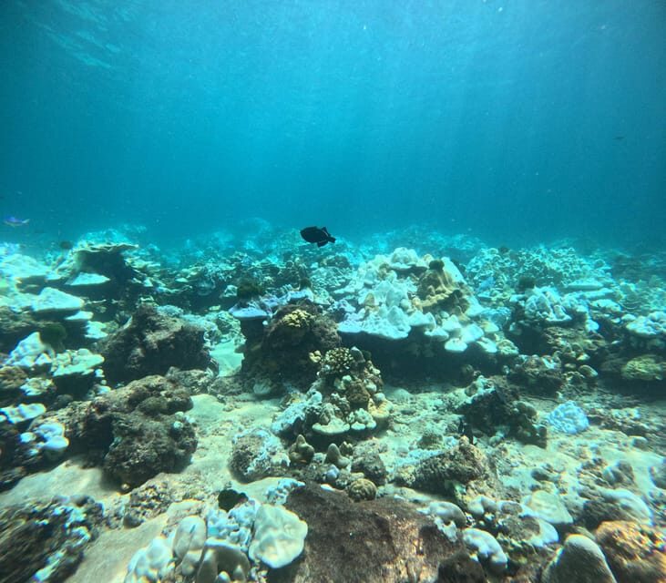 Phuket: Racha Islands 3 scuba dives boat trip PADI GoPro - Final Thoughts