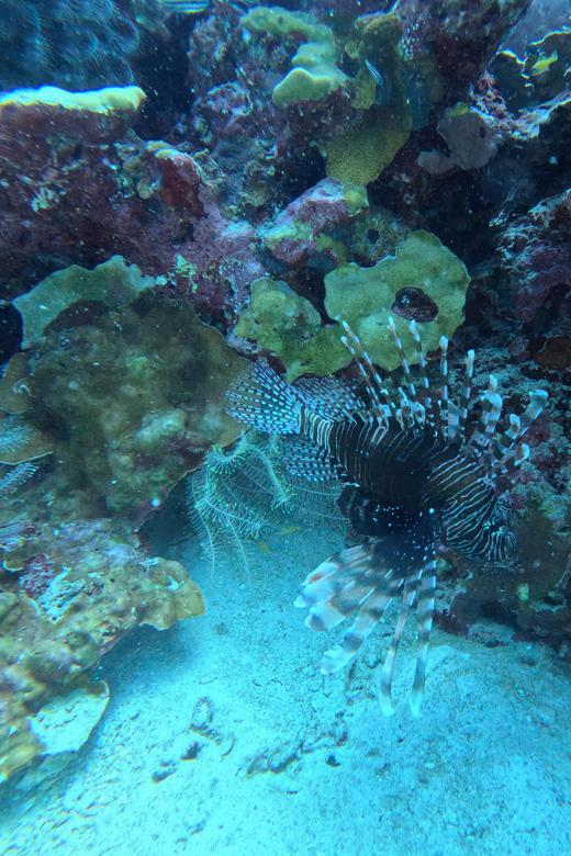 Phuket: Racha Islands 3 scuba dives boat trip PADI GoPro - Key Points