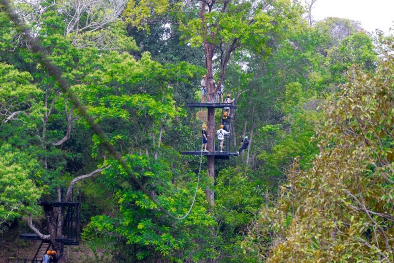 Phuket: Rainforest Eco Zipline Expedition - The Itinerary: What to Expect