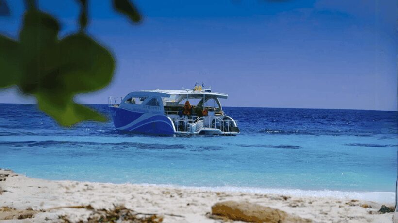 Phuket: Raya Island, Maithon Island, & Dolphin Spotting Tour - The Sum Up