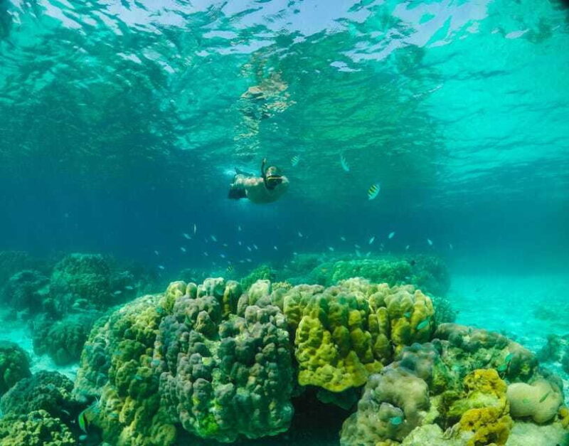 Phuket: RAYA YAI - Diving Trip - FAQ