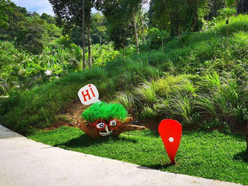 Phuket: Rock Beach Swing Entry Ticket - What’s Included and What’s Not