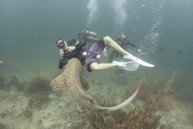 Phuket Scuba Diving Adventure for All Levels with Transfer - The Sum Up