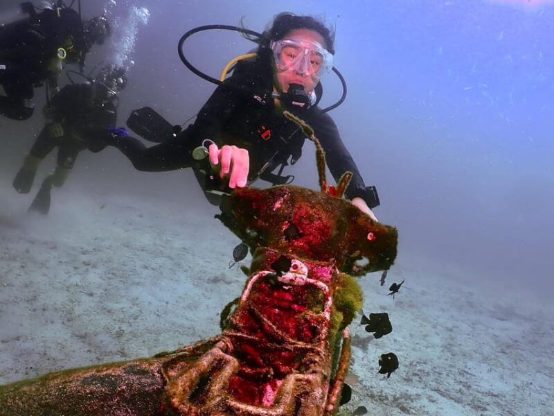 Phuket: SCUBA Diving Day Trip King Cruiser, Shark Point, KDM - Why This Tour Stands Out