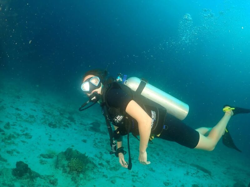Phuket: SCUBA DIVING Day Trip Racha Yai/ Racha Noi 3 Dives - Final Thoughts: Is This Tour Worth It?