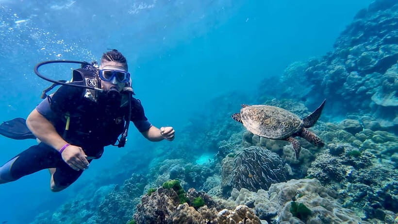 Phuket: Scuba Diving Maithon Or Racha Islands For All Levels - Key Points