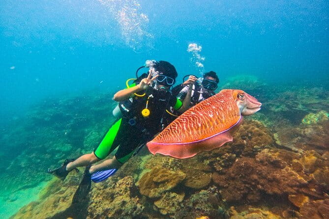 Phuket Scuba Diving Maiton Private Island Small Group or Snorkel - Key Points