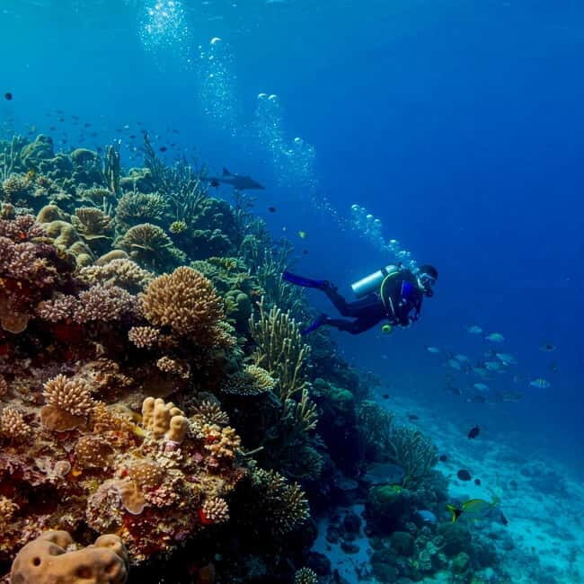 Phuket Scuba Diving Racha Islands 1-3 Dives For All Levels - Introducing the Phuket Racha Islands Diving Experience
