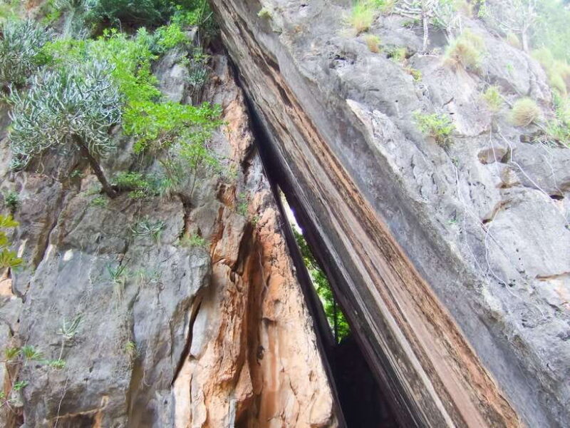 Phuket: Sea Canoe & Glowing Plankton by Speed Catamaran Tour - Returning and Reflecting on the Day