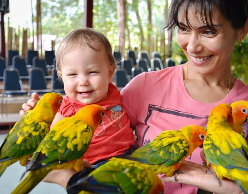 Phuket Sighseeing 6 Hrs. (Privet Car) - Why Consider This Tour?