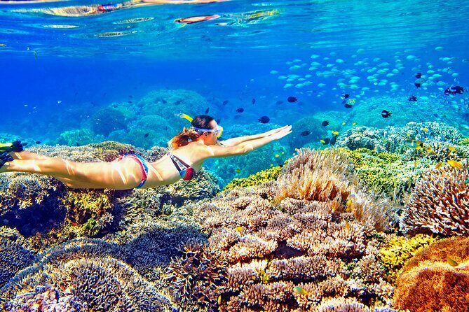 Phuket Similan Island Andaman Ocean Tour by Van and Speedboat - Practical Considerations and Value