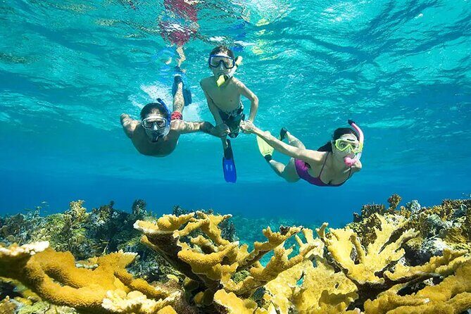 Phuket Similan Island Andaman Ocean Tour by Van and Speedboat - FAQ