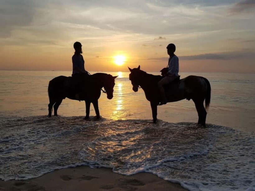 Phuket: Sunset Beach Horseback Journey - A Scenic Ride with a Sunset Twist
