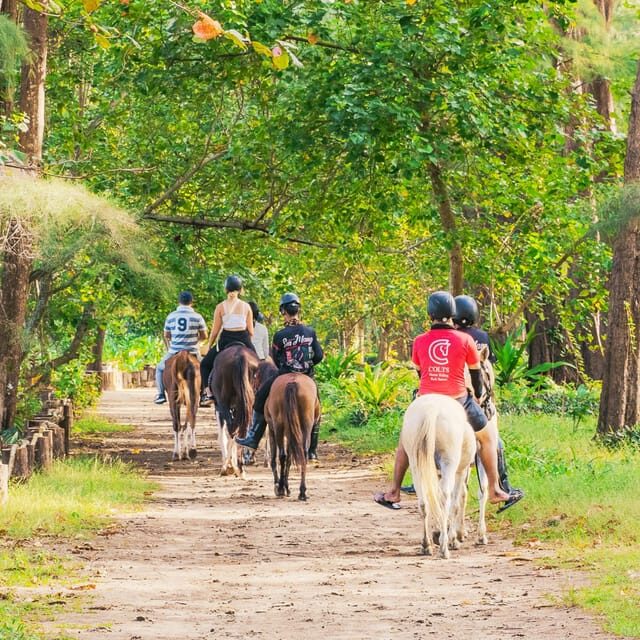 Phuket: Sunset Beach Horseback Journey - Final Thoughts