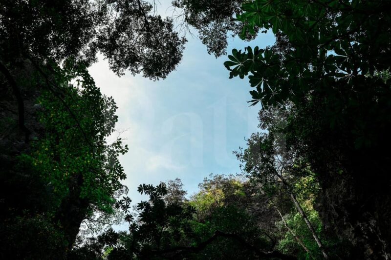 Phuket: Sunset Seafood Dinner Cruise In Phang Nga Bay - FAQs