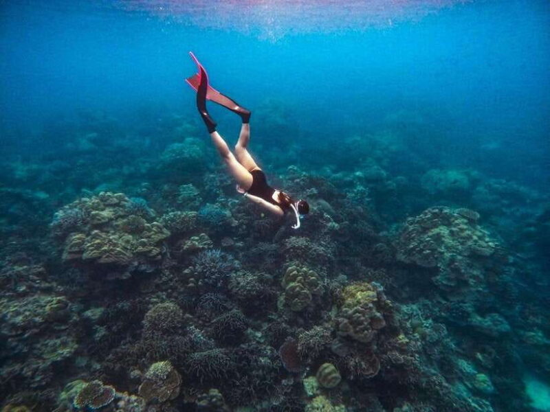 Phuket: Surin Islands Full Day Snorkeling Tour by Speedboat - Final Thoughts: Who Will Appreciate This Tour?