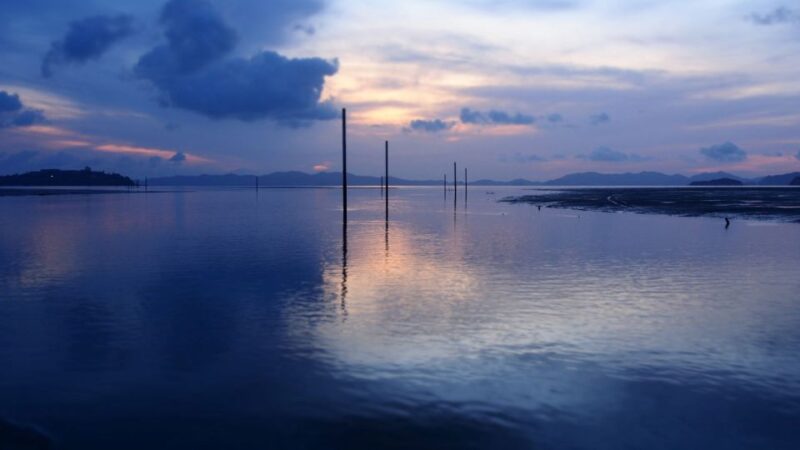 Phuket to Phi Phi Full-Day Luxury Speed Boat Charter - Who Will Love This Tour?