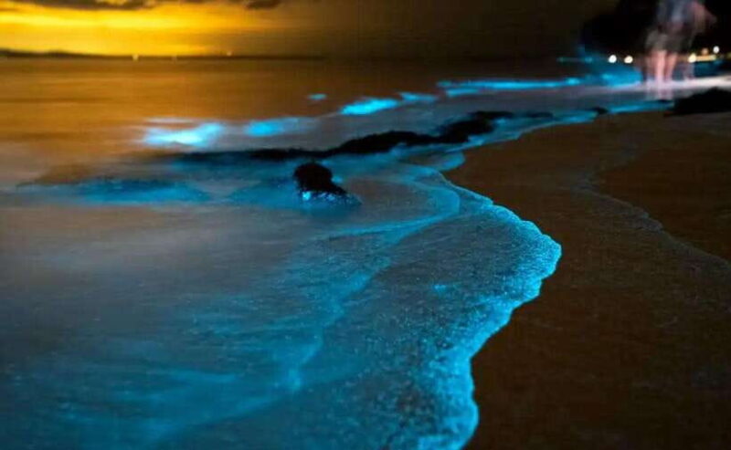 Phuket : Twilight Sea Canoe Tour with Glowing Plankton - Practical Tips for Travelers