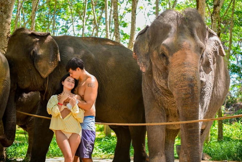 Phuket:Beach walk with elephants, rain & care. 2.5 hours - What to Expect from the Experience