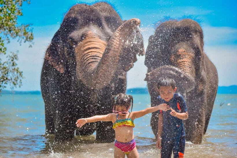 Phuket:Beach walk with elephants, rain & care. 2.5 hours - The Experience’s Highlights (and a Few Considerations)