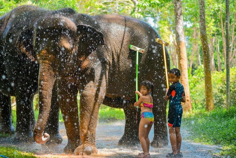 Phuket:Beach walk with elephants, rain & care. 2.5 hours - Who Would Love This Tour?