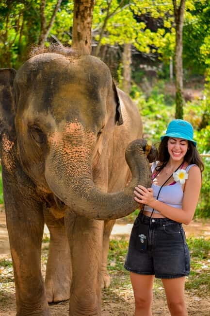 Phuket:Beach walk with elephants, rain & care. 2.5 hours - The Sum Up