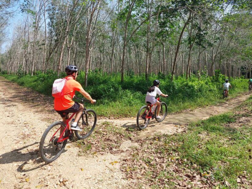 Phuket's Hidden Trails Biking Adventure Small-Group Tour - A Closer Look at the Itinerary and Experience