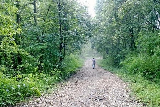 Phulchoki bird-watching tour - What Travelers Say About This Tour