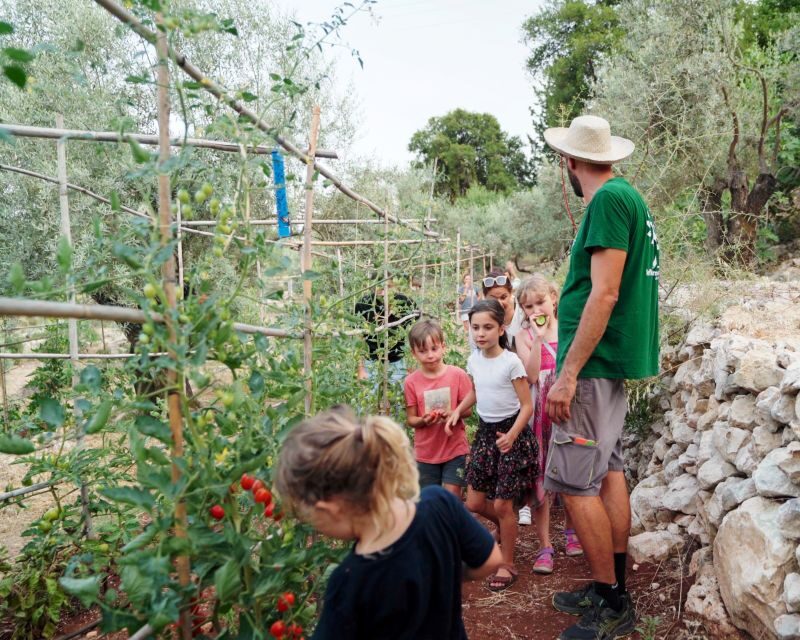 Phyllo Pie Baking Class @ Lefkada Micro Farm - Who Would Love This?