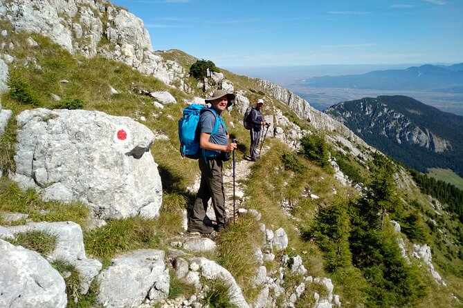 Piatra Craiului National Park Private Hiking Tour From Brasov - Logistics and Inclusions