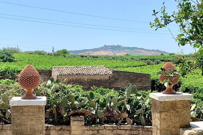 PIAZZA ARMERINA and WINERY - Private Tour starting from Agrigento - FAQ