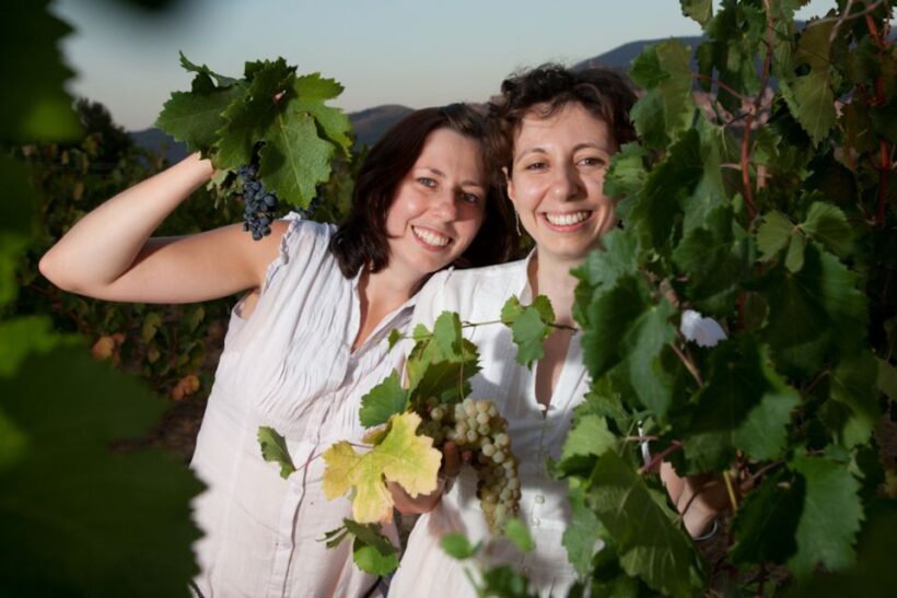 Pic nic Deluxe Assisi and wine tasting 5 wines - A Closer Look at the Experience